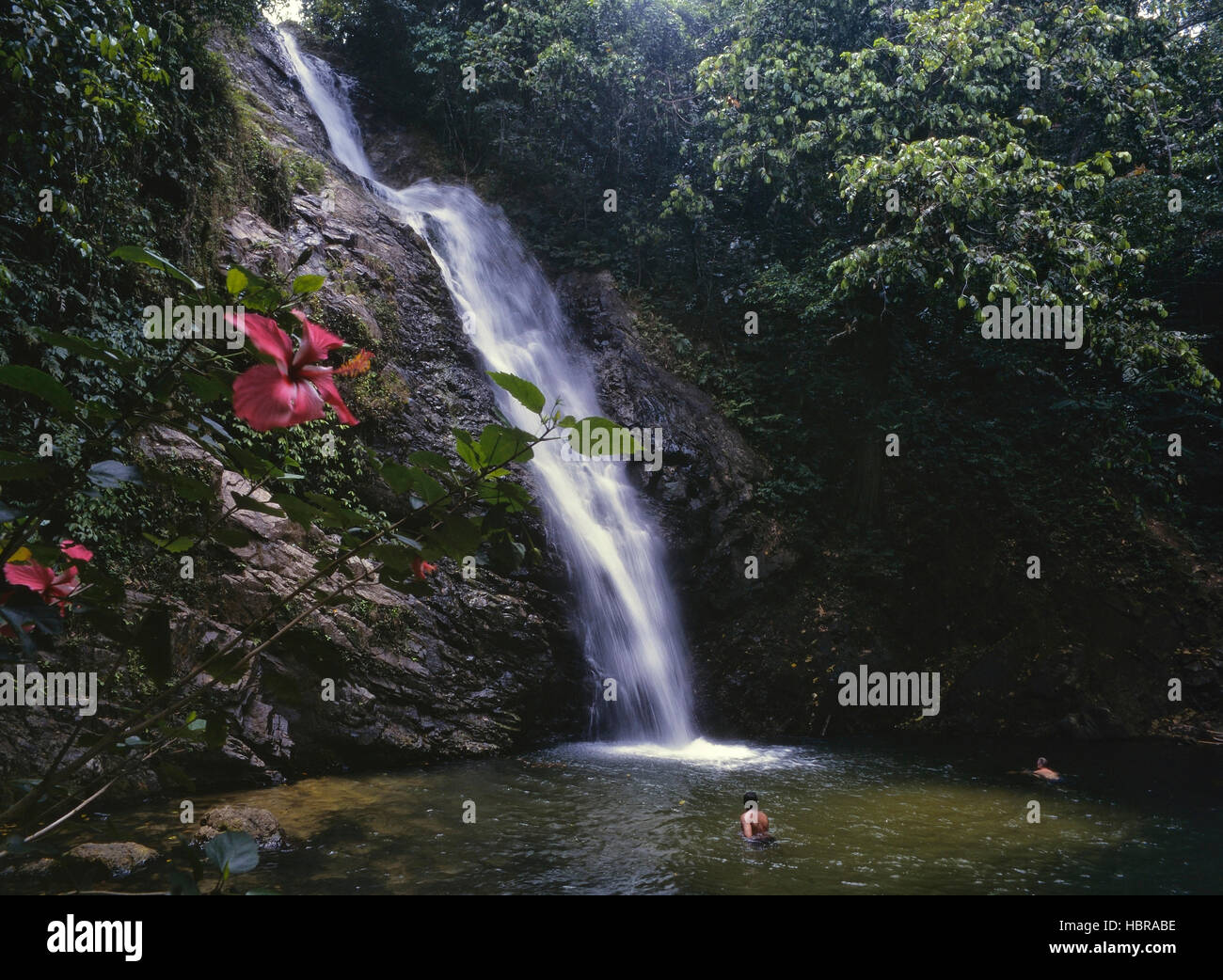 The Biausevu waterfall (also known as Savu Na Mate Laya Falls) near ...