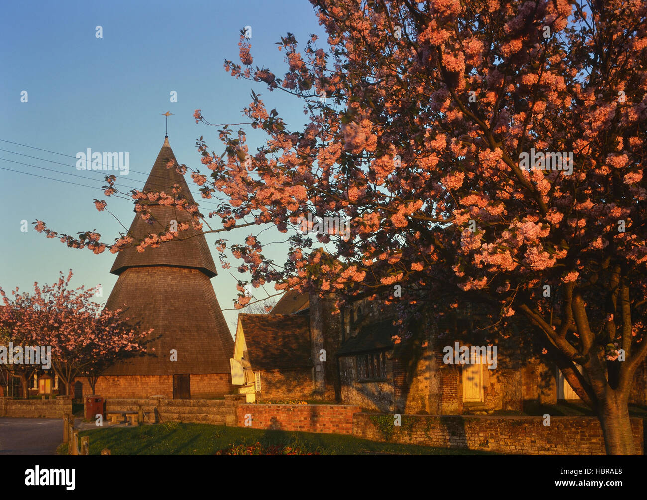 Brookland kent hi-res stock photography and images - Alamy