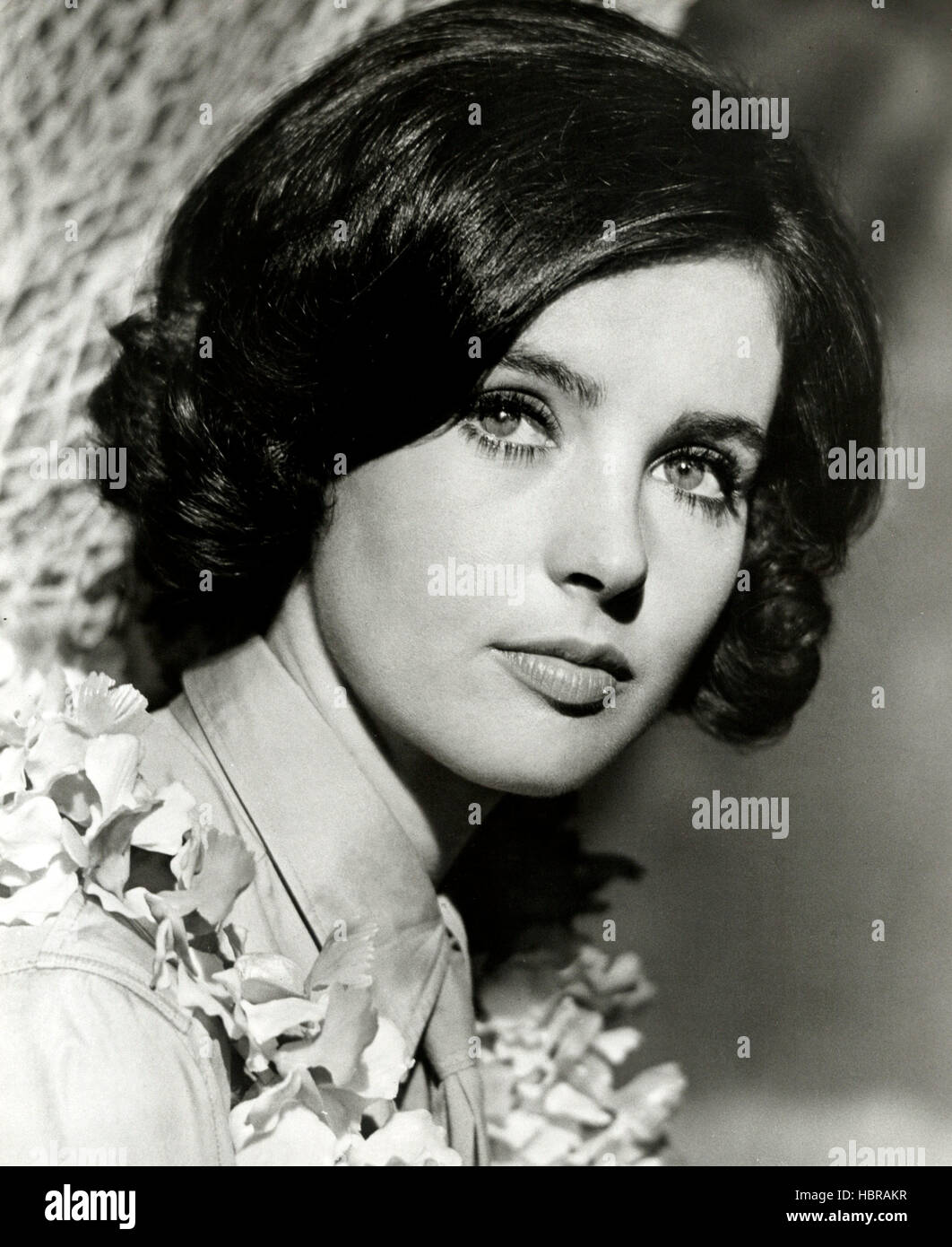 ENSIGN PULVER, Millie Perkins, 1964 Stock Photo - Alamy