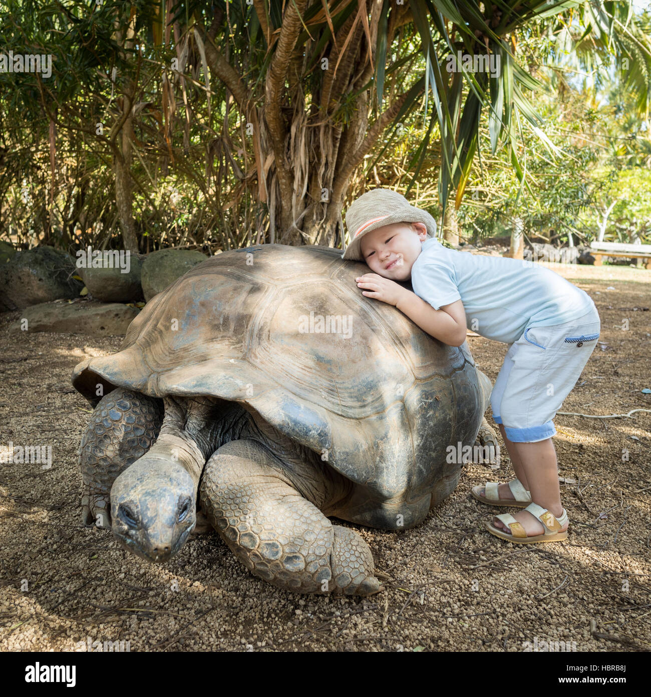 Child huggging Aldabra giant tortoise. Mauritius Stock Photo - Alamy