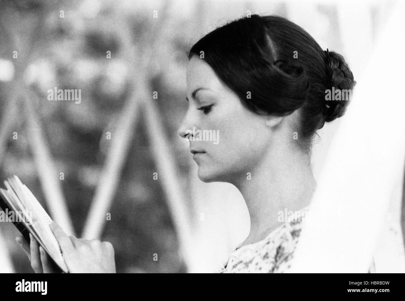 THE EUROPEANS, Lisa Eichhorn, 1979, Levitt-Pickman / Courtesy: Everett ...