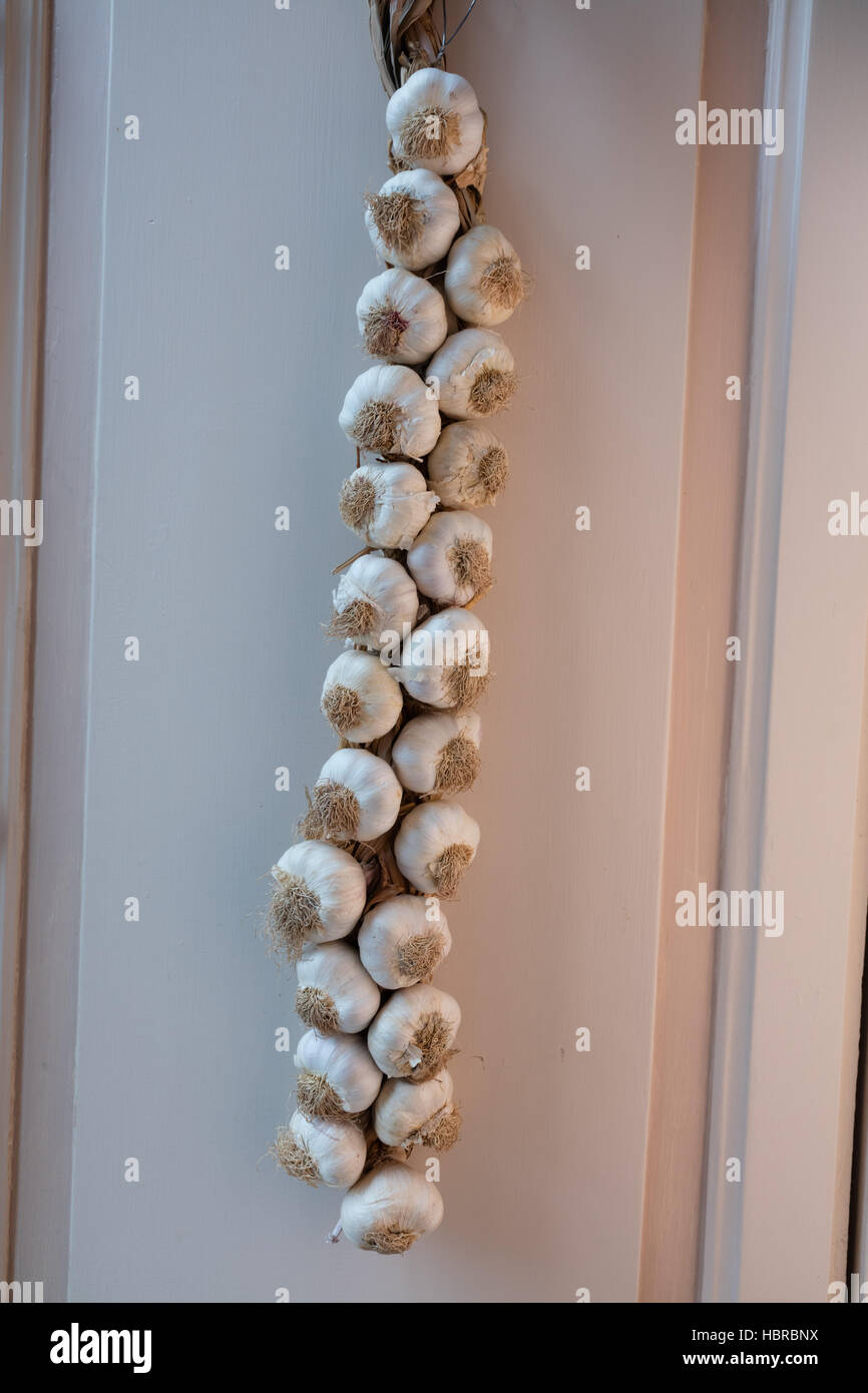 A garlic braid Stock Photo - Alamy
