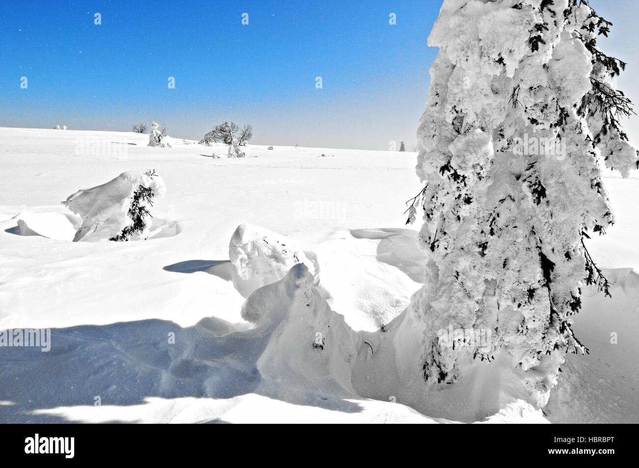 Germany Black forest in winter Stock Photo - Alamy