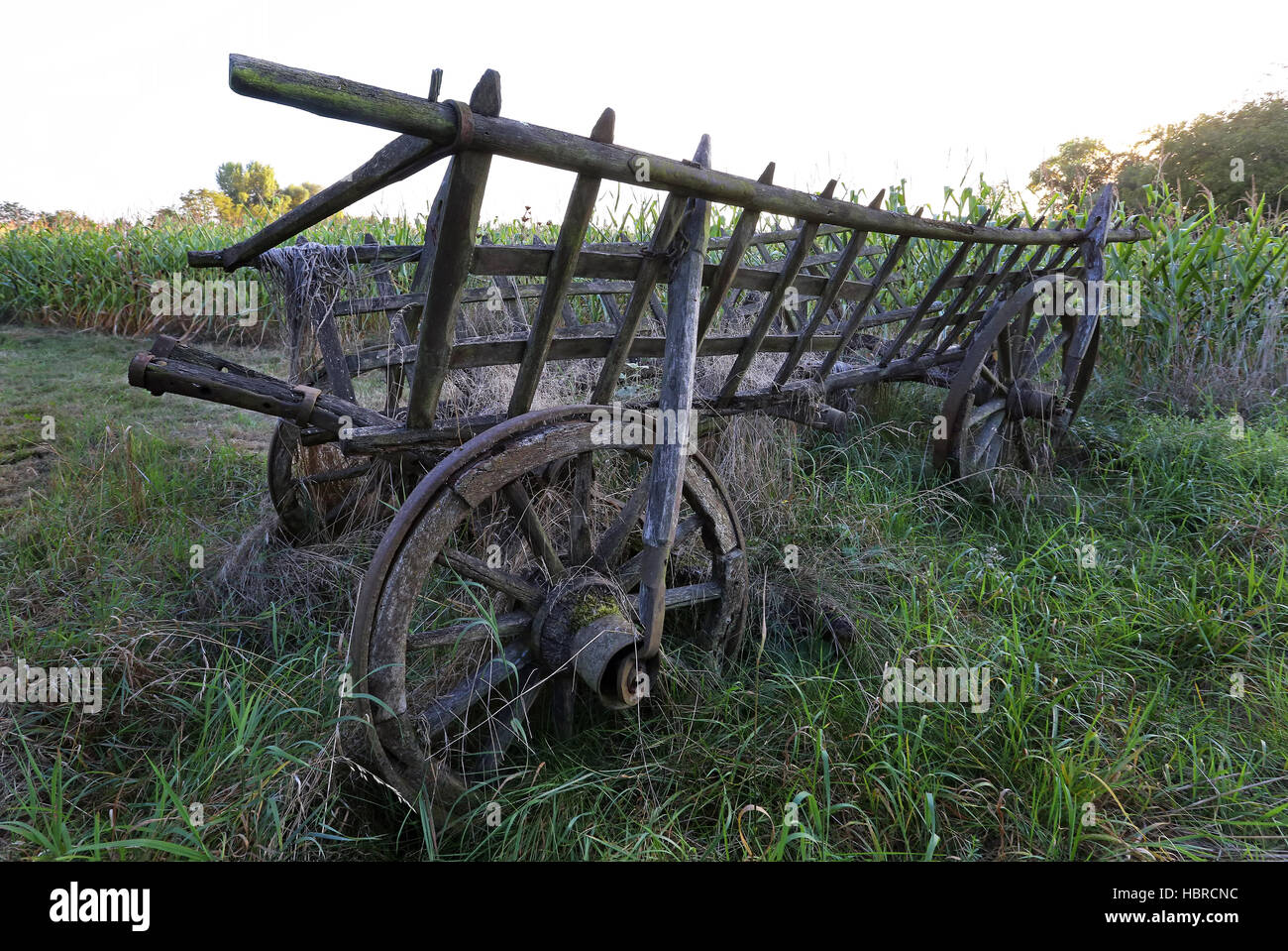 Hayrack hi-res stock photography and images - Alamy