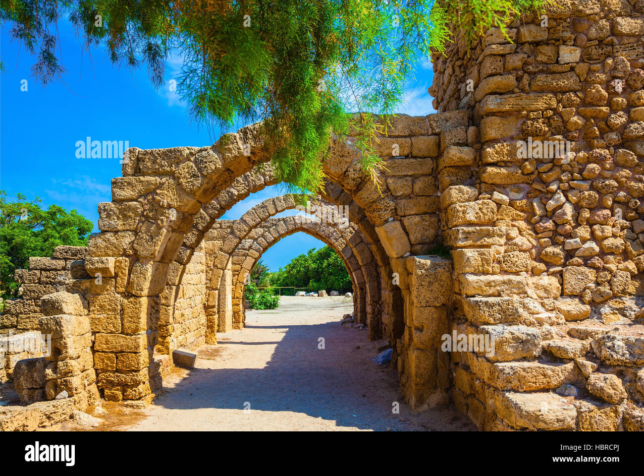 Ancient arched ceiling of stalls Stock Photo - Alamy