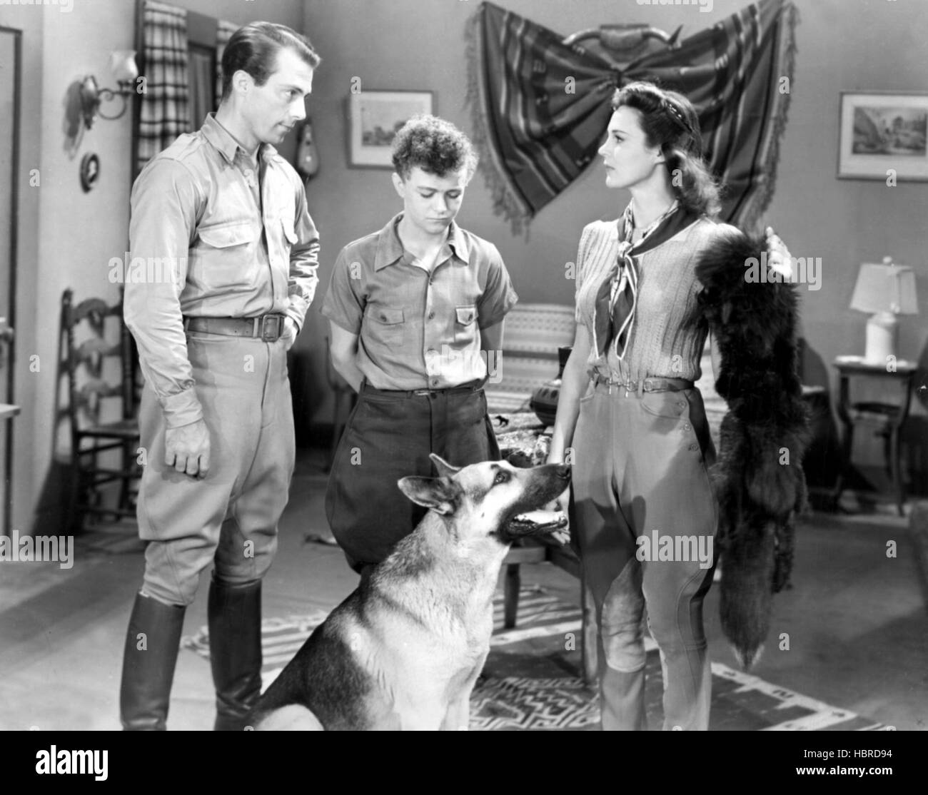 FANGS OF THE WILD, Dennis Moore, Martin Spellman, Rin Tin Tin, Luana ...