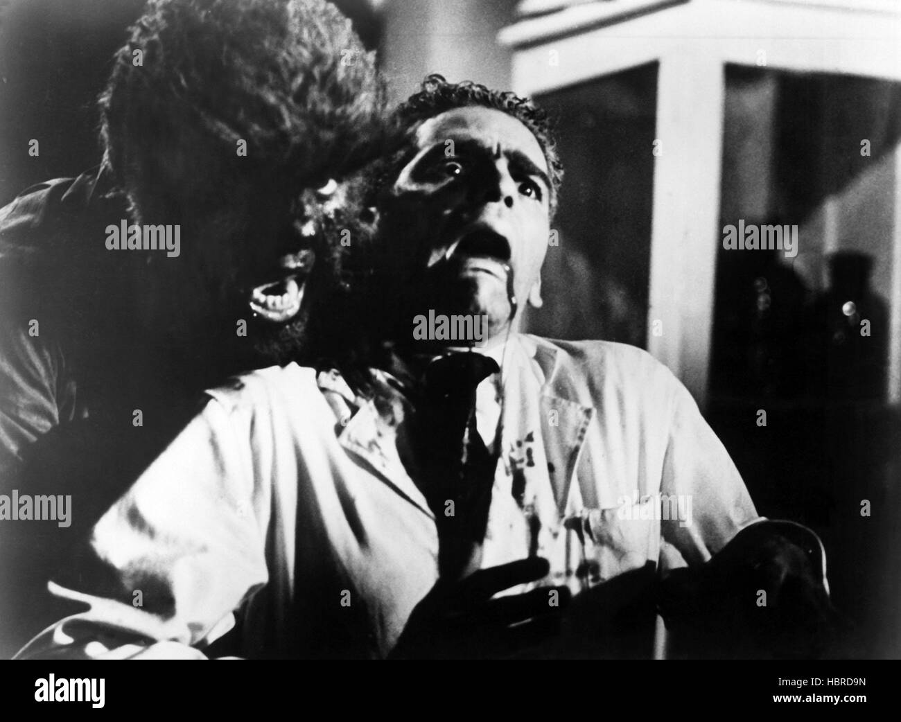 FACE OF THE SCREAMING WEREWOLF, Lon Chaney Jr. (left), 1964 Stock Photo ...