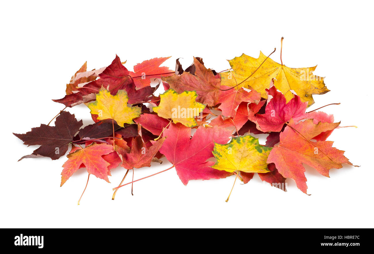 Frame dried leaves on Cut Out Stock Images & Pictures - Alamy