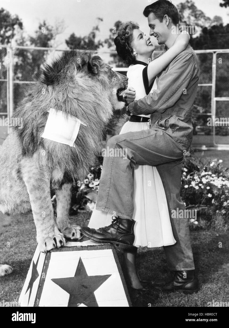 FEARLESS FAGANfrom left: Fagan the lion, Janet Leigh, Carleton ...
