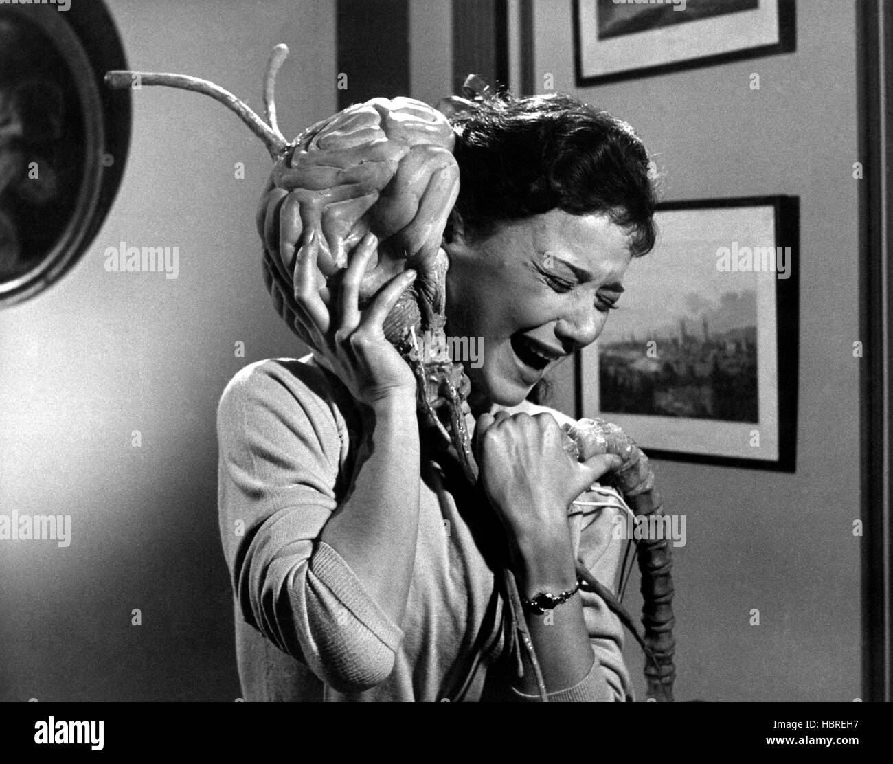 FIEND WITHOUT A FACE, Kim Parker, 1958 Stock Photo - Alamy