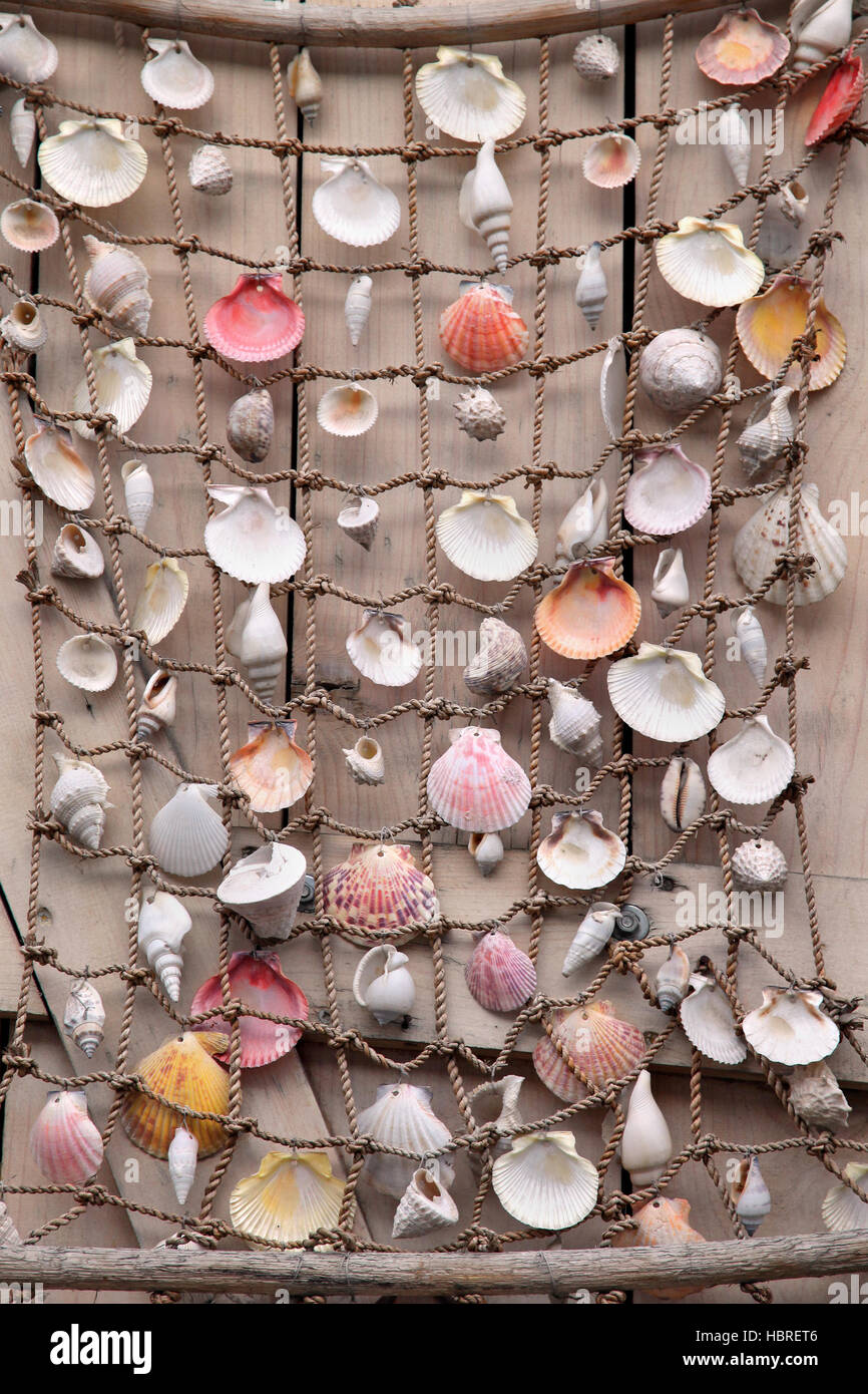 Net of shells hi-res stock photography and images - Alamy