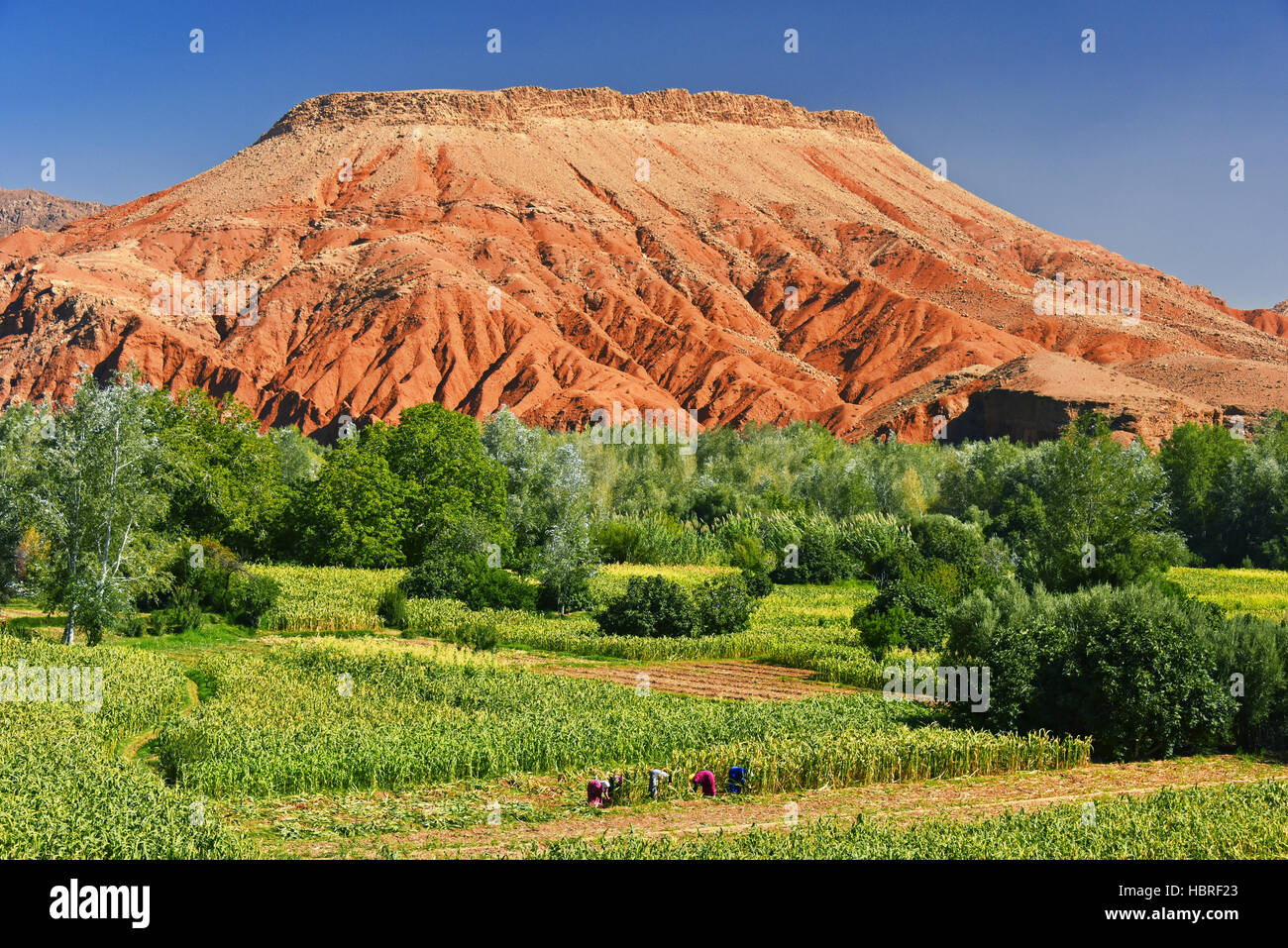 Landscape view of high Atlas Mountains Stock Photo - Alamy