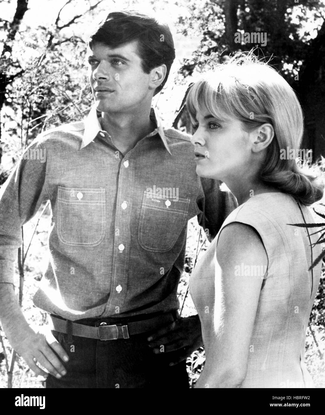 THE FLIM-FLAM MAN, from left, Michael Sarrazin, Sue Lyon, 1967, TM ...