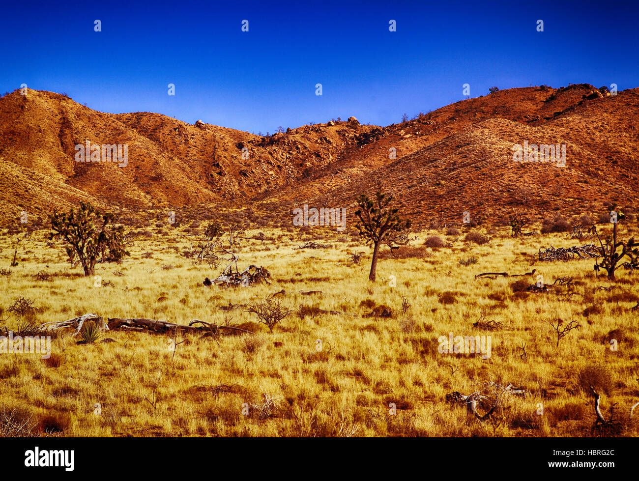 ranch in desert Stock Photo - Alamy