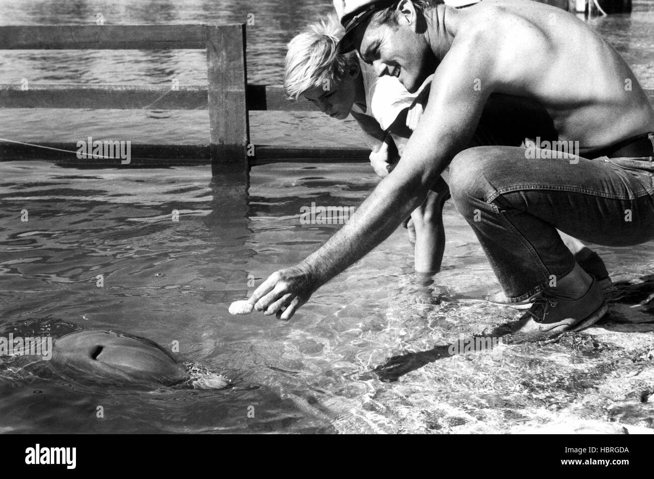 FLIPPER, Flipper, Chuck Connors, Luke Halpin, 1963 Stock Photo - Alamy