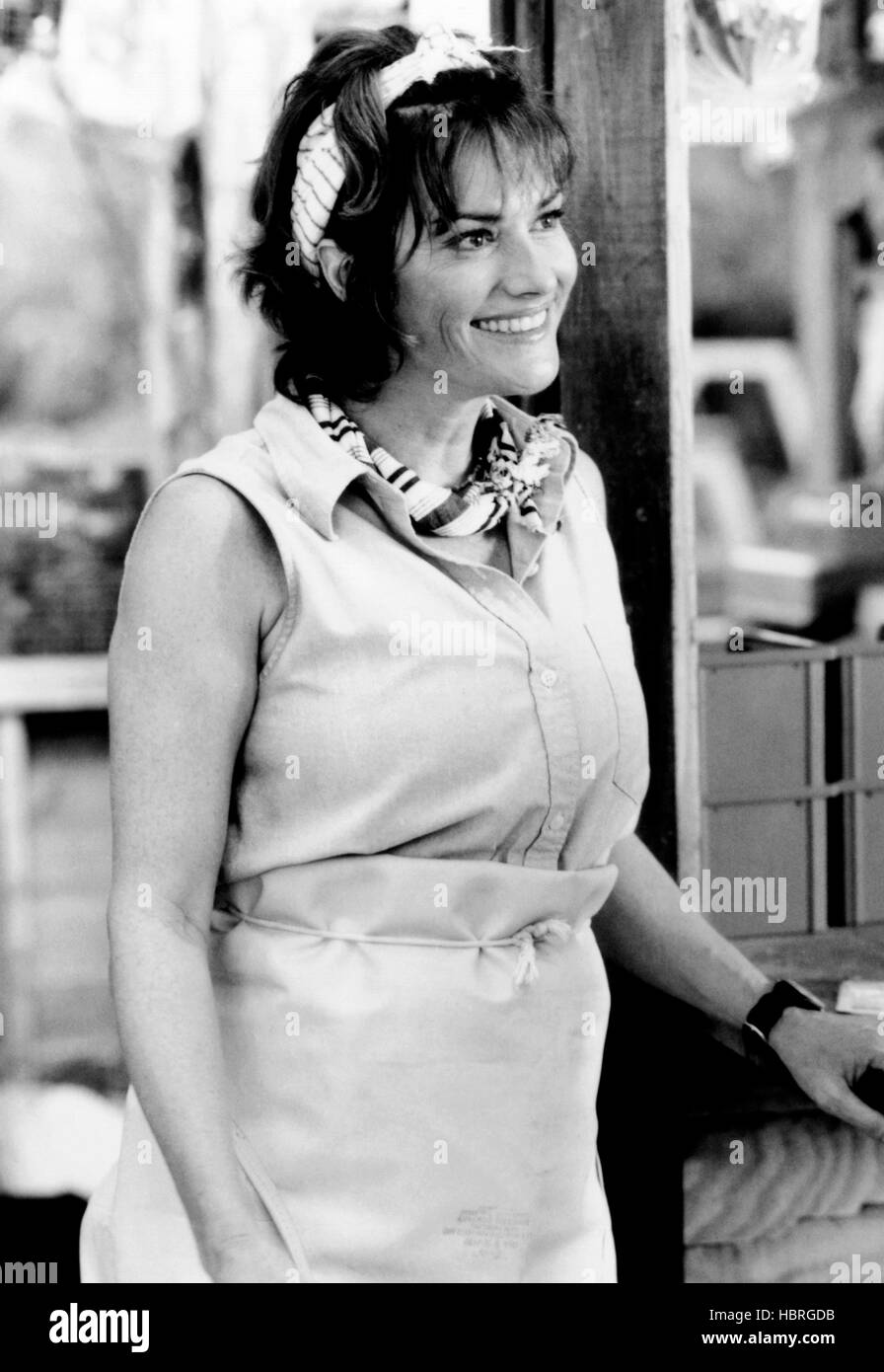 FLIPPER, Chelsea Field, 1996, ©Universal/courtesy Everett Collection ...