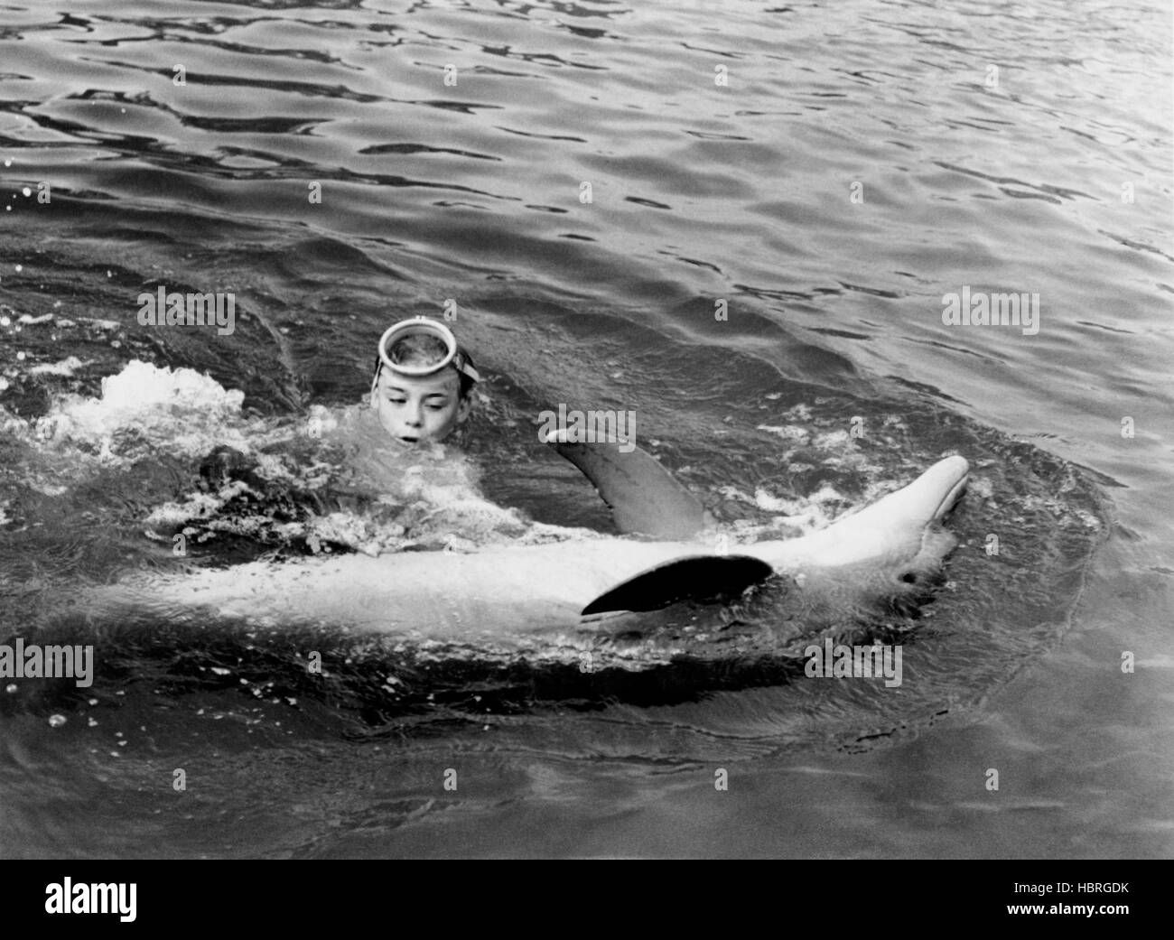 FLIPPER, (from left): Luke Halpin, Flipper, 1963 Stock Photo - Alamy