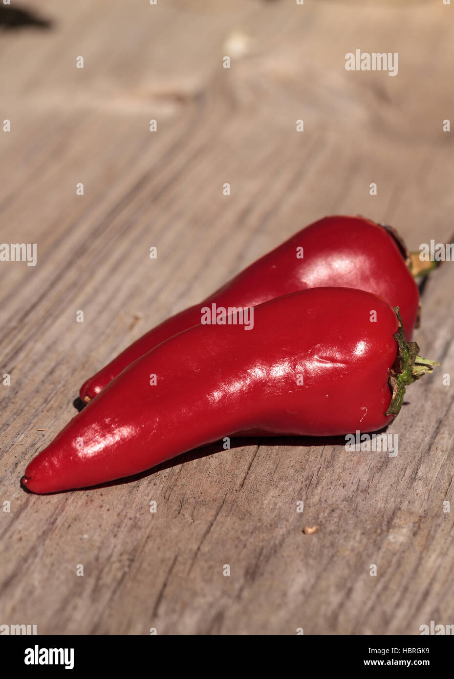 Organic red hot jalapeno pepper Stock Photo - Alamy