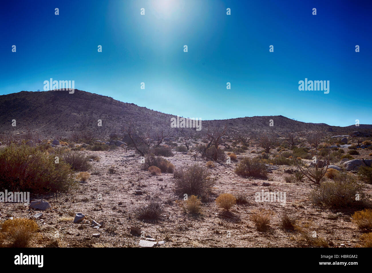 desert in california Stock Photo - Alamy