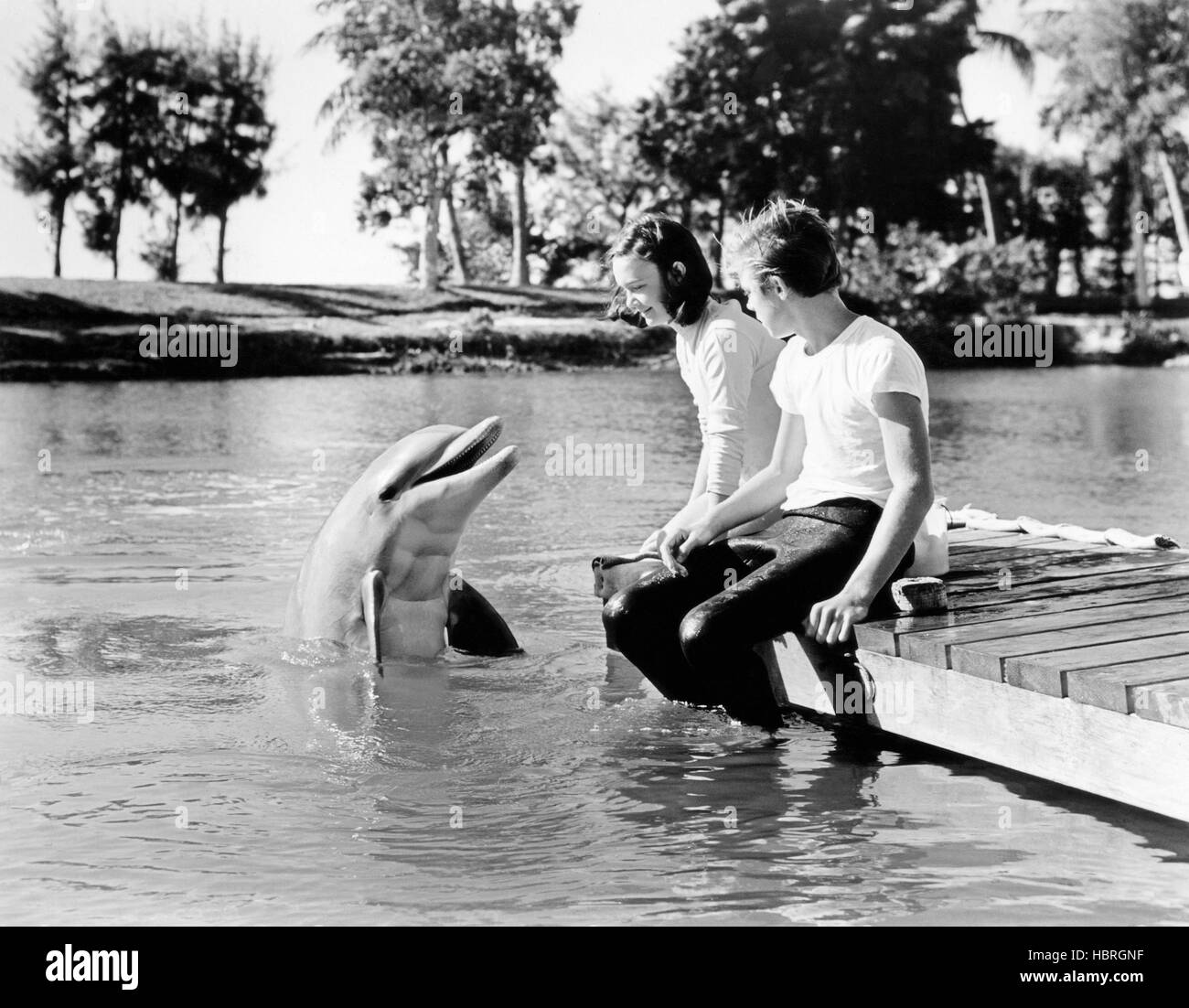FLIPPER'S NEW ADVENTURE, Flipper, Pamela Franklin, Luke Halpin, 1964 ...