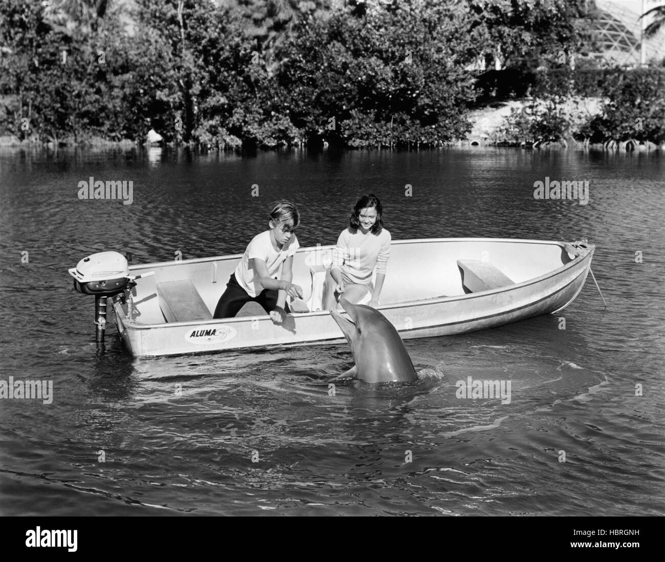 FLIPPER'S NEW ADVENTURE, Luke Halpin, Flipper, Pamela Franklin, 1964 ...