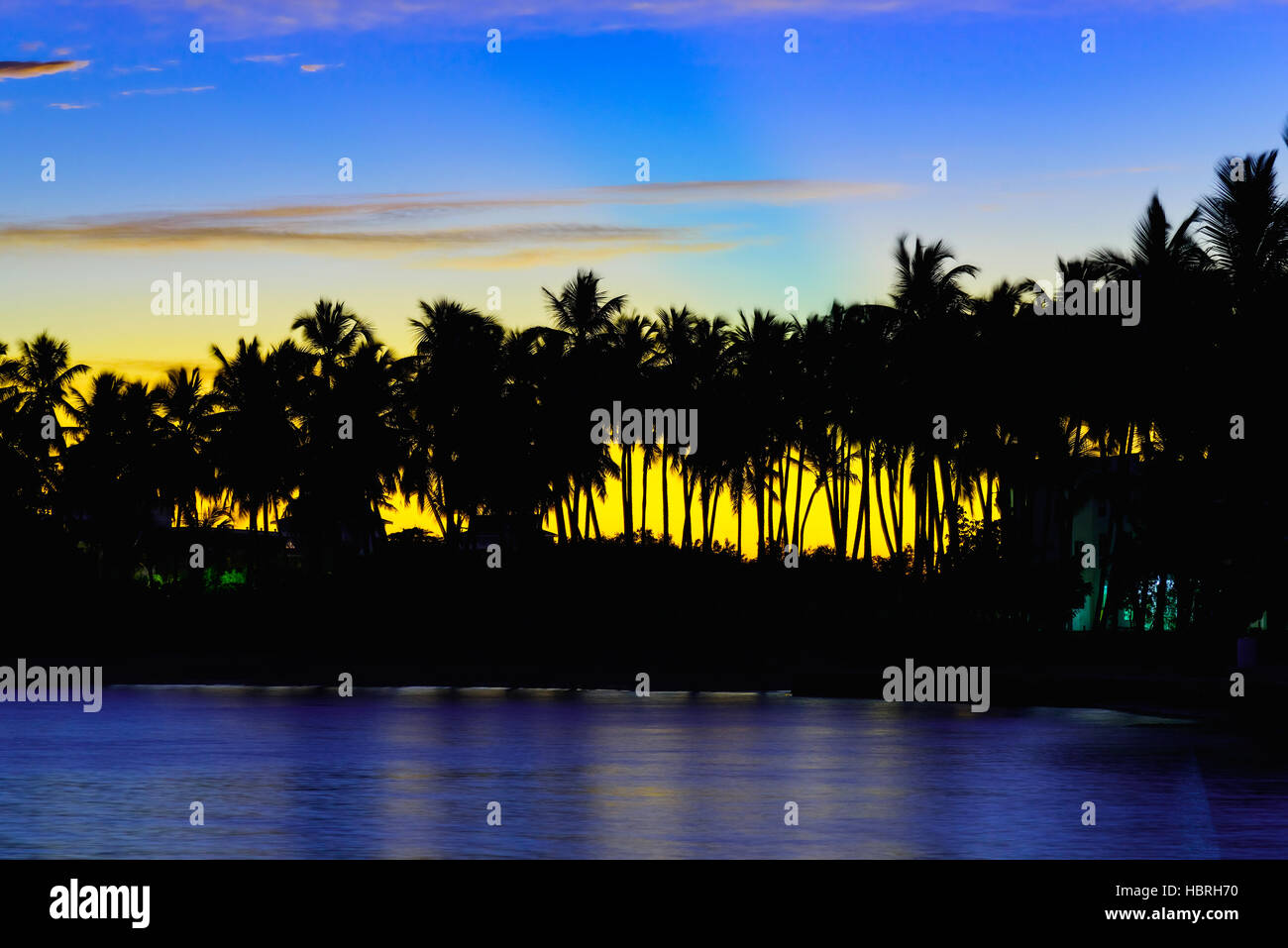 palm dawn morning Stock Photo - Alamy