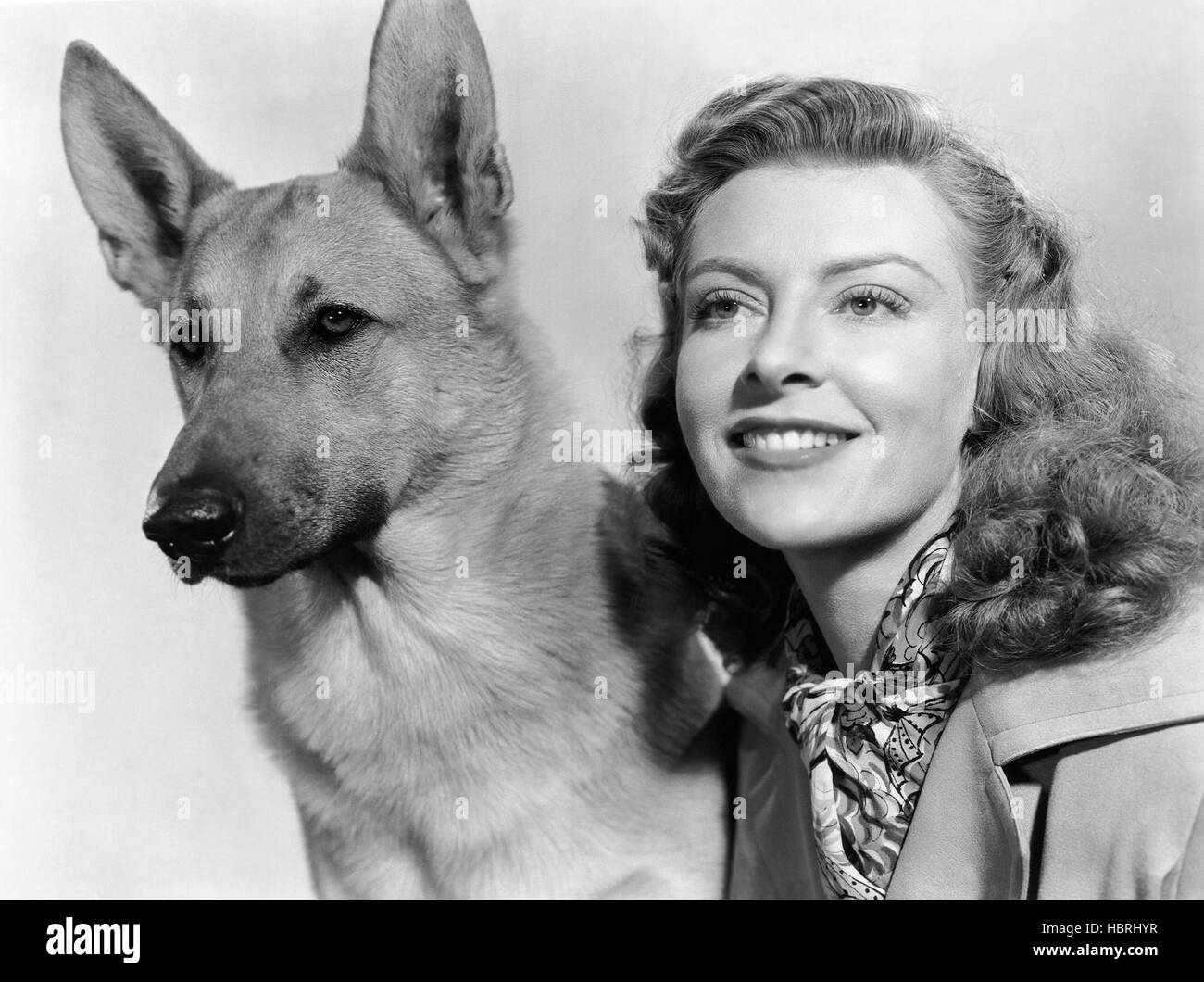 FOR THE LOVE OF RUSTY, Flame the dog, Ann Doran, 1947 Stock Photo - Alamy