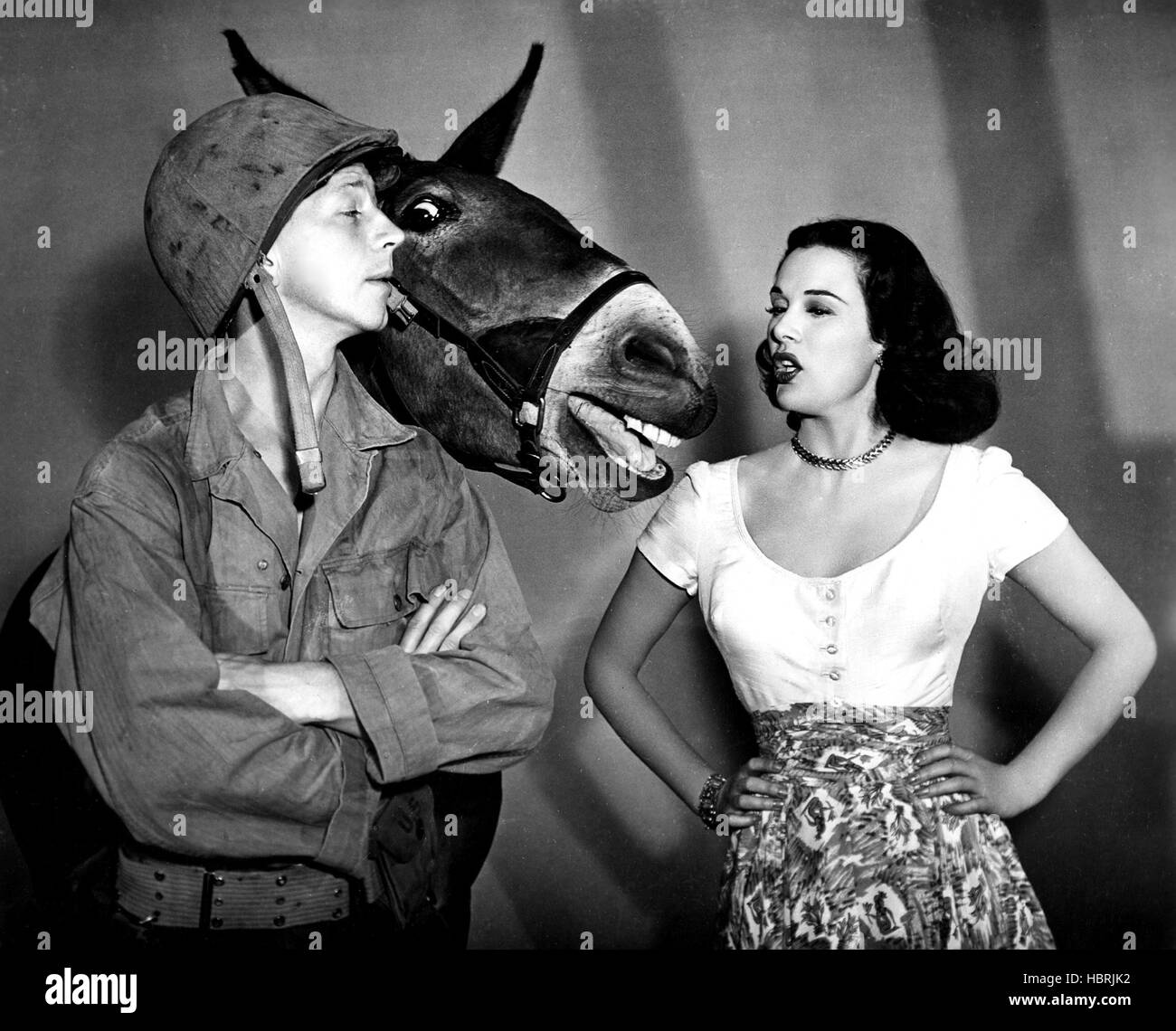 FRANCIS (Francis the Talking Mule), Donald O'Connor, Patricia Medina ...