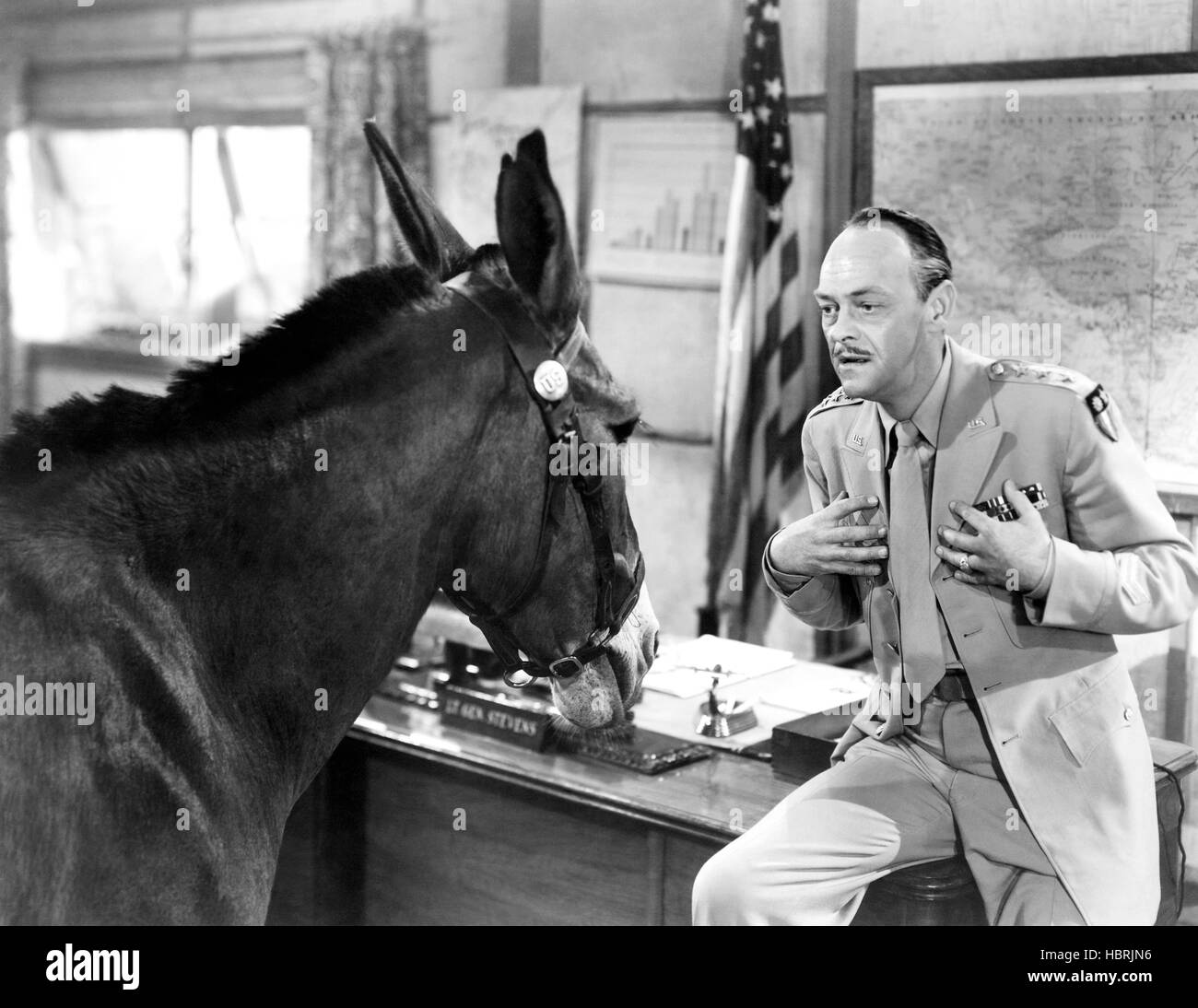 FRANCES, (aka FRANCES THE TALKING MULE), John McIntire, 1950 Stock ...