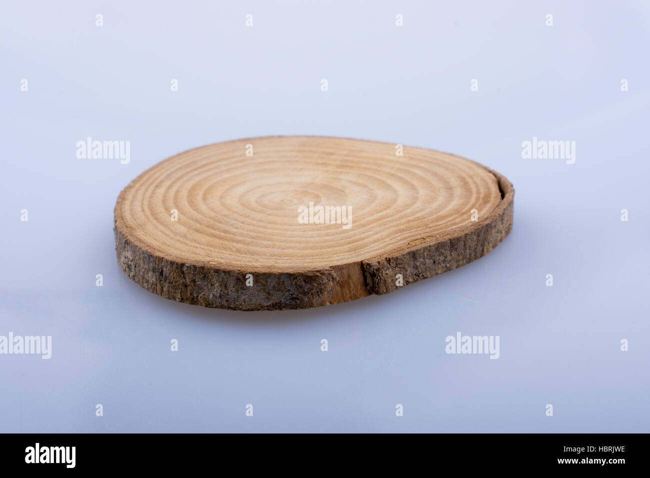 Wood Log cut in round thin pieces on a white background Stock Photo - Alamy