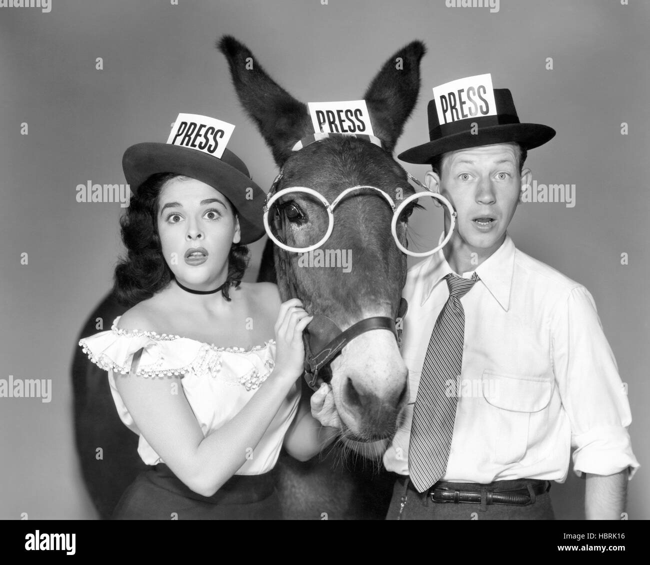 FRANCIS COVERS THE BIG TOWN, from left: Yvette Duguay, Francis the ...