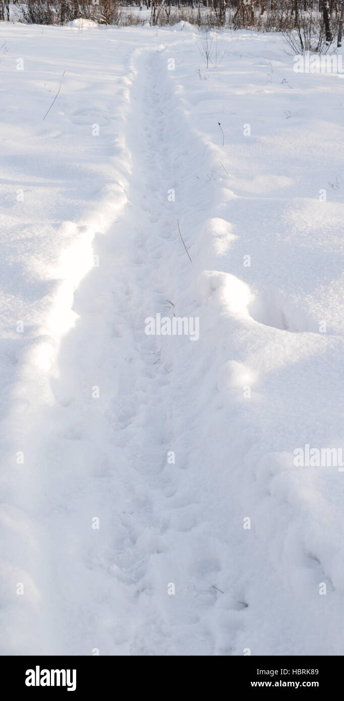 Snow pathway hi-res stock photography and images - Alamy