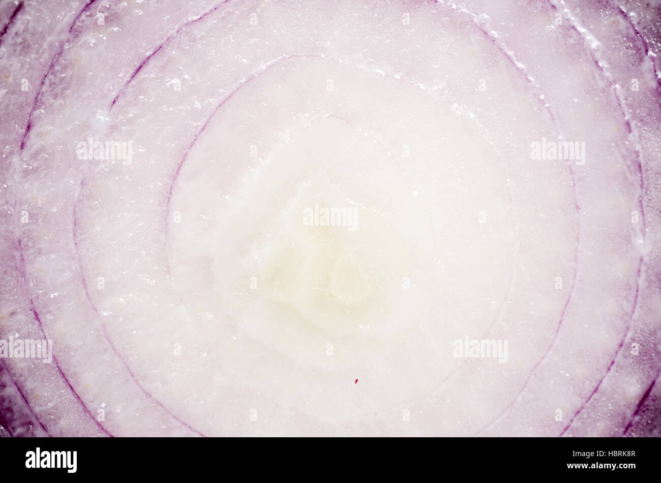 Section single red onion sliced hi-res stock photography and images - Alamy