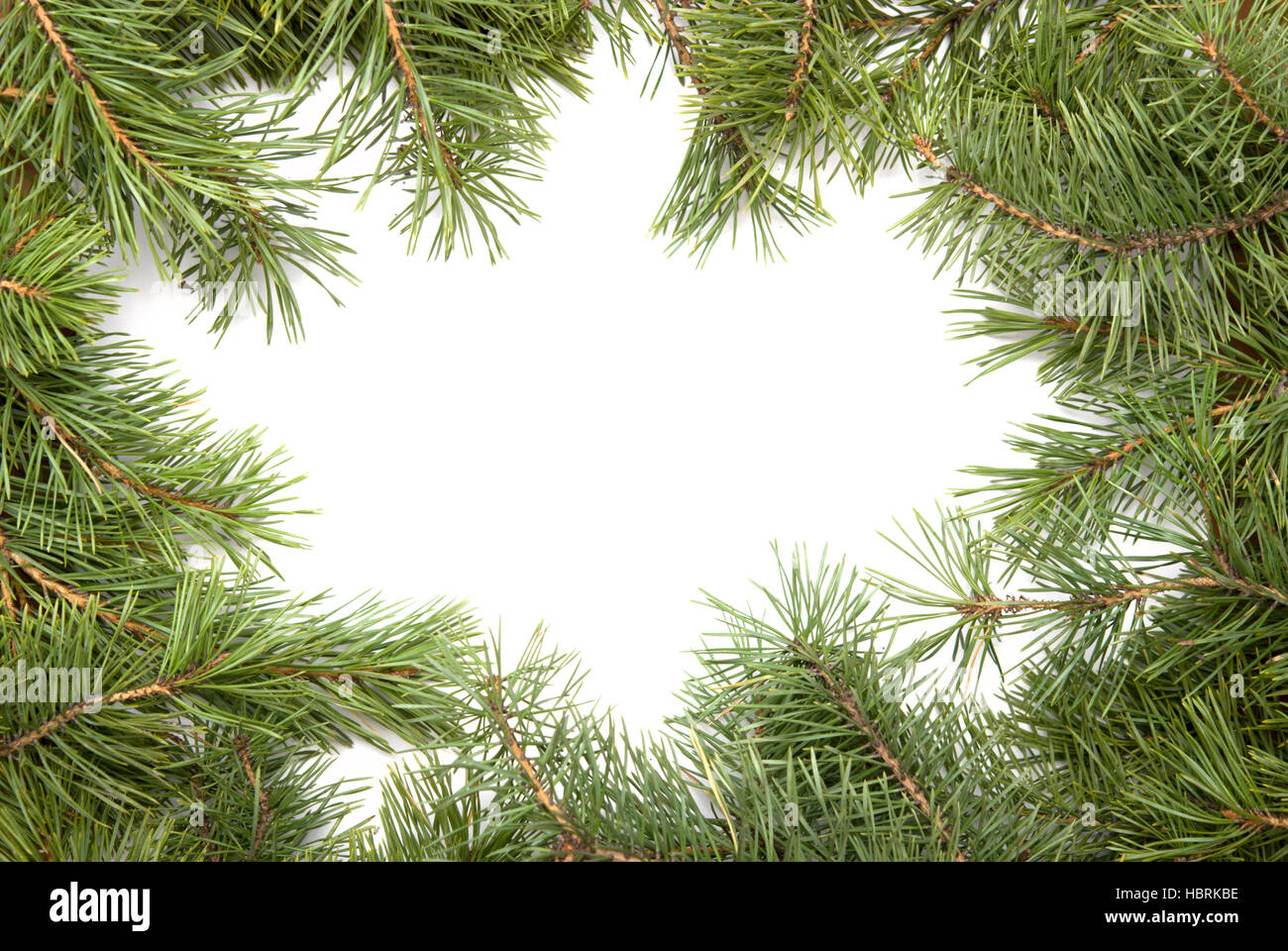 Pine forest frame hi-res stock photography and images - Alamy