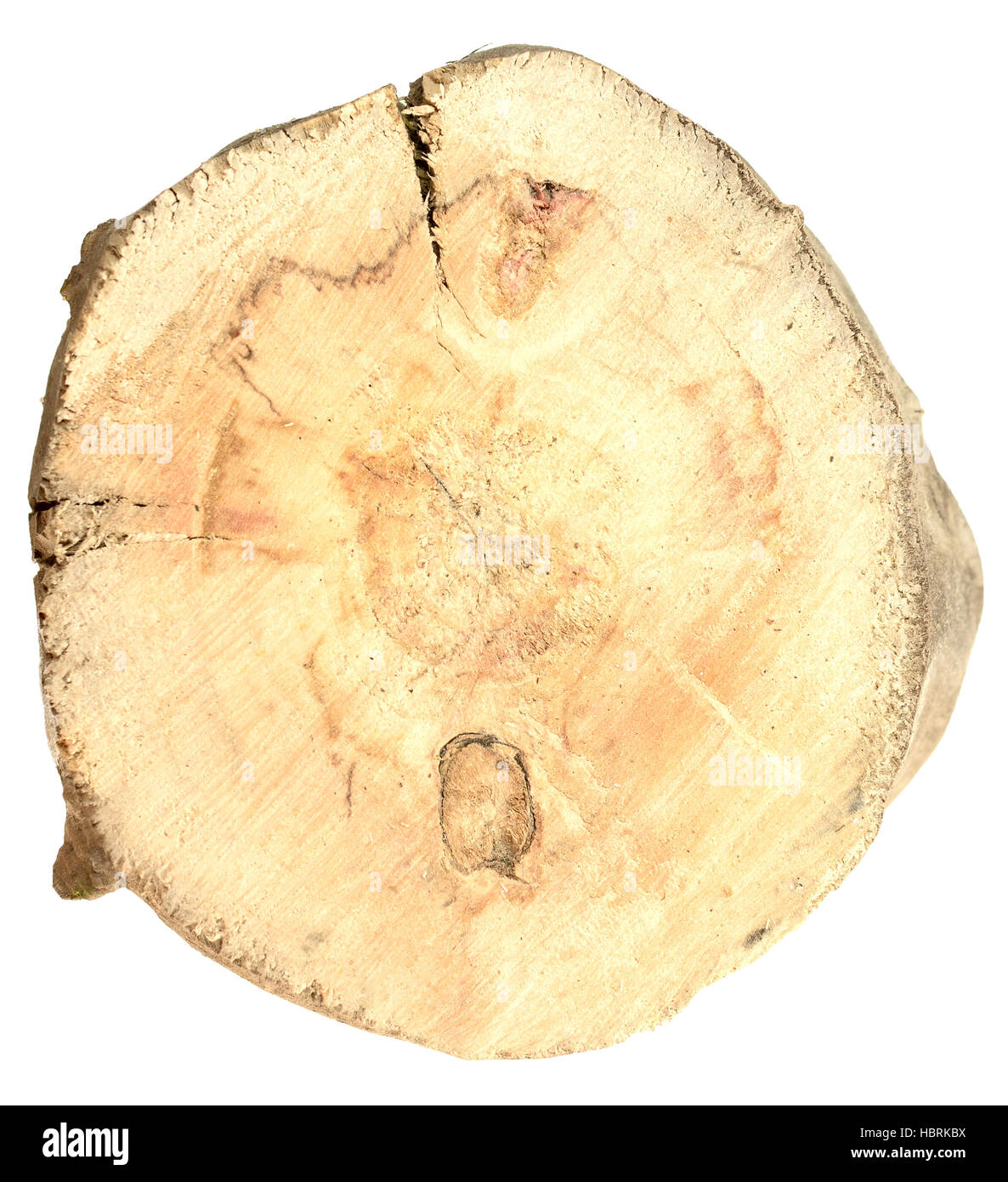 Chopped wood stump Cut Out Stock Images & Pictures - Alamy