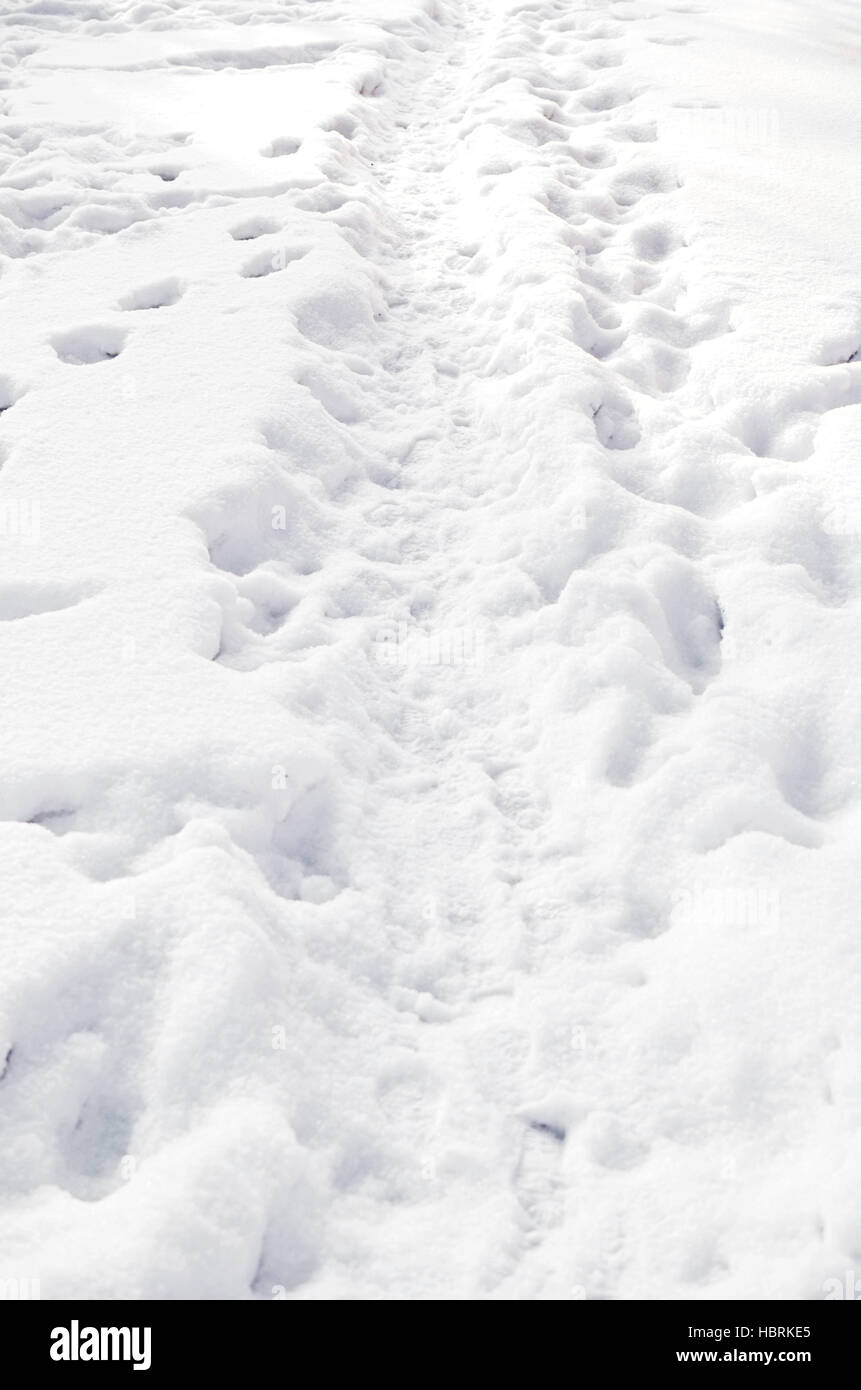 Snow pathway hi-res stock photography and images - Alamy