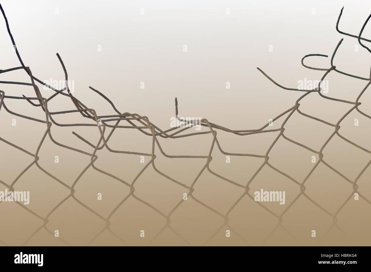 Torn wire mesh hi-res stock photography and images - Alamy