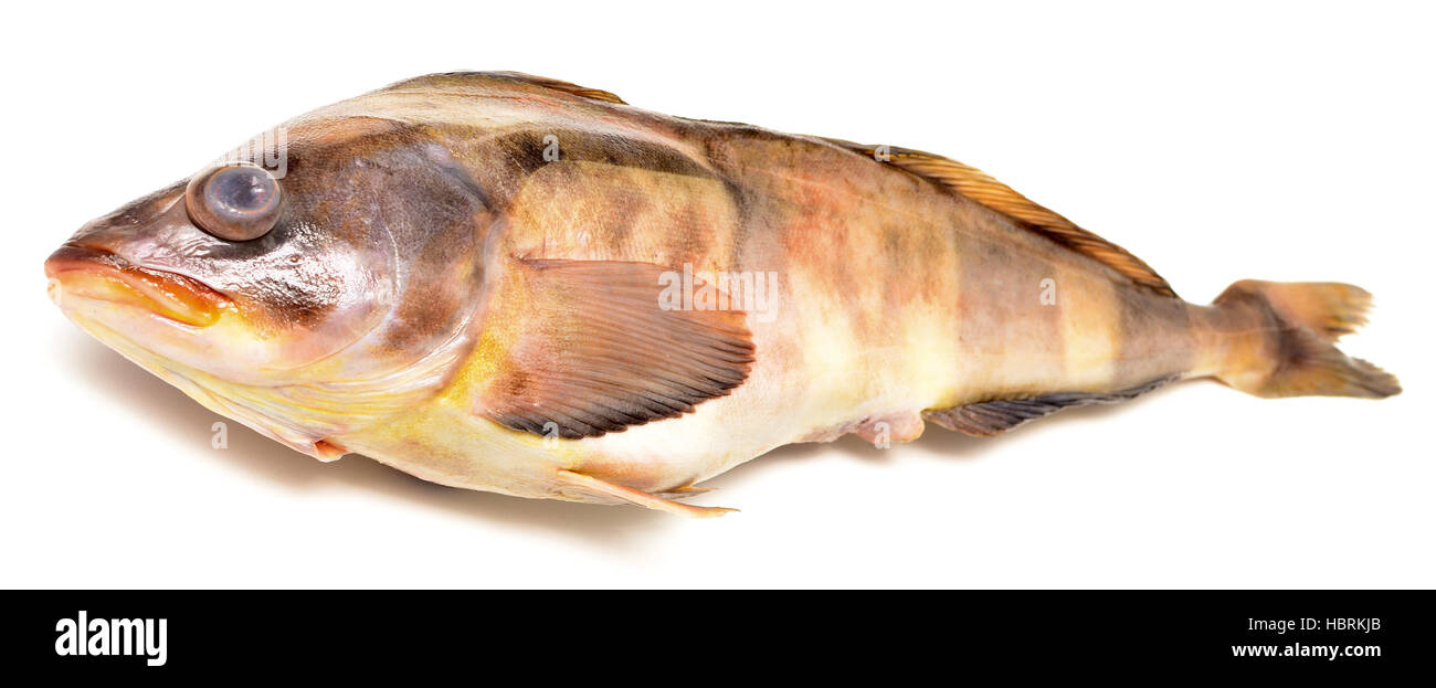 One length hi-res stock photography and images - Alamy