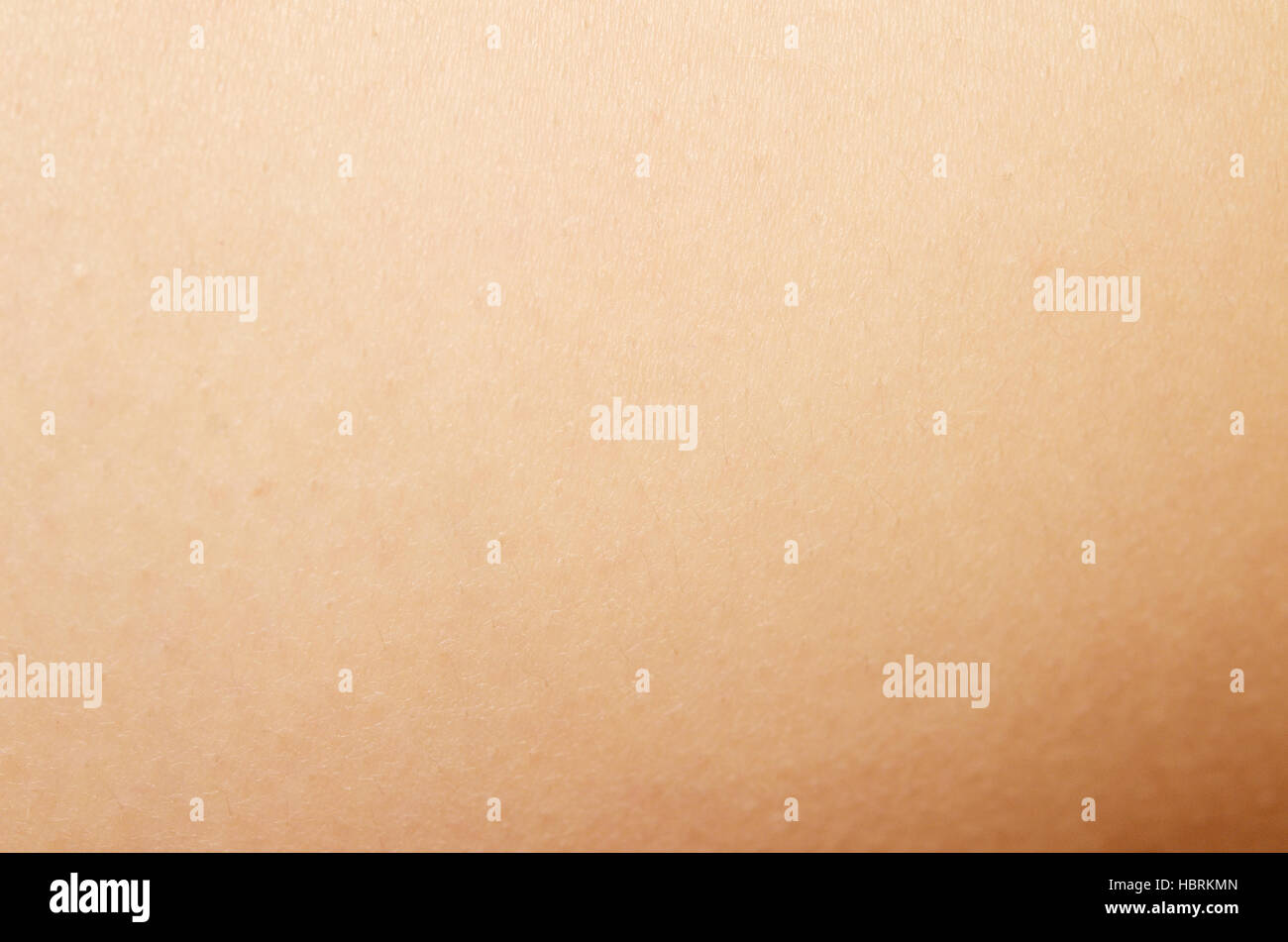 Skin integument hi-res stock photography and images - Alamy
