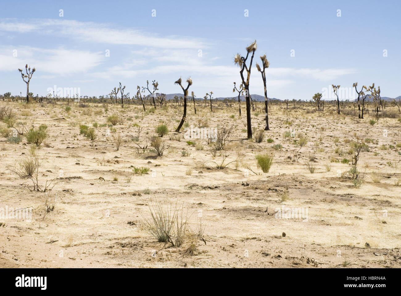 0078 hi-res stock photography and images - Alamy