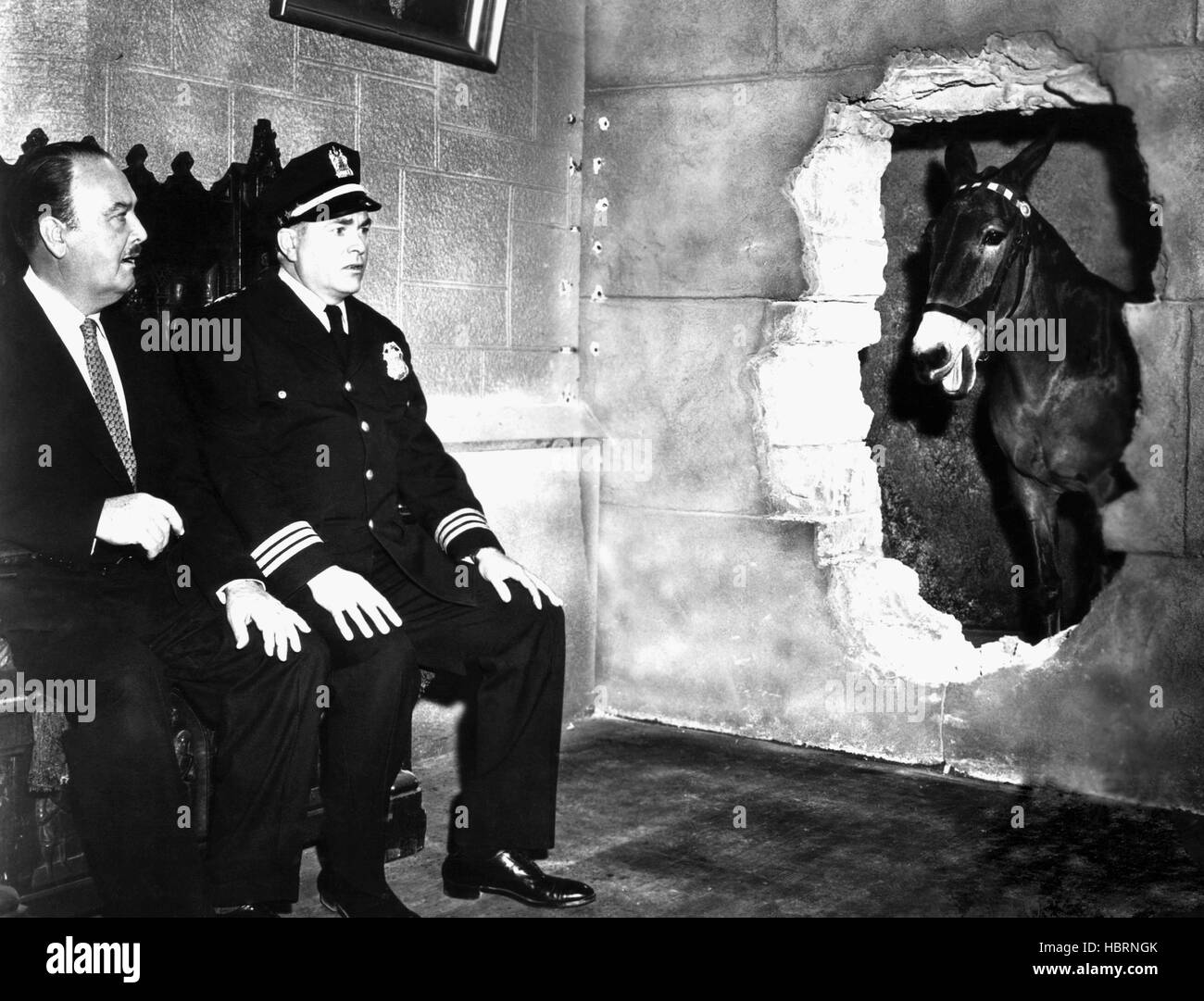 FRANCIS IN THE HAUNTED HOUSE, Ralph Dumke, James Flavin, 1956 Stock ...