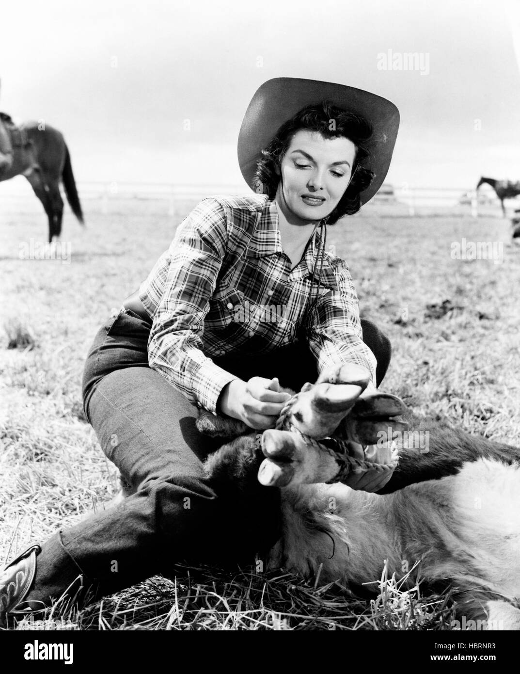 THE FRENCH LINE, Jane Russell, 1954 Stock Photo - Alamy