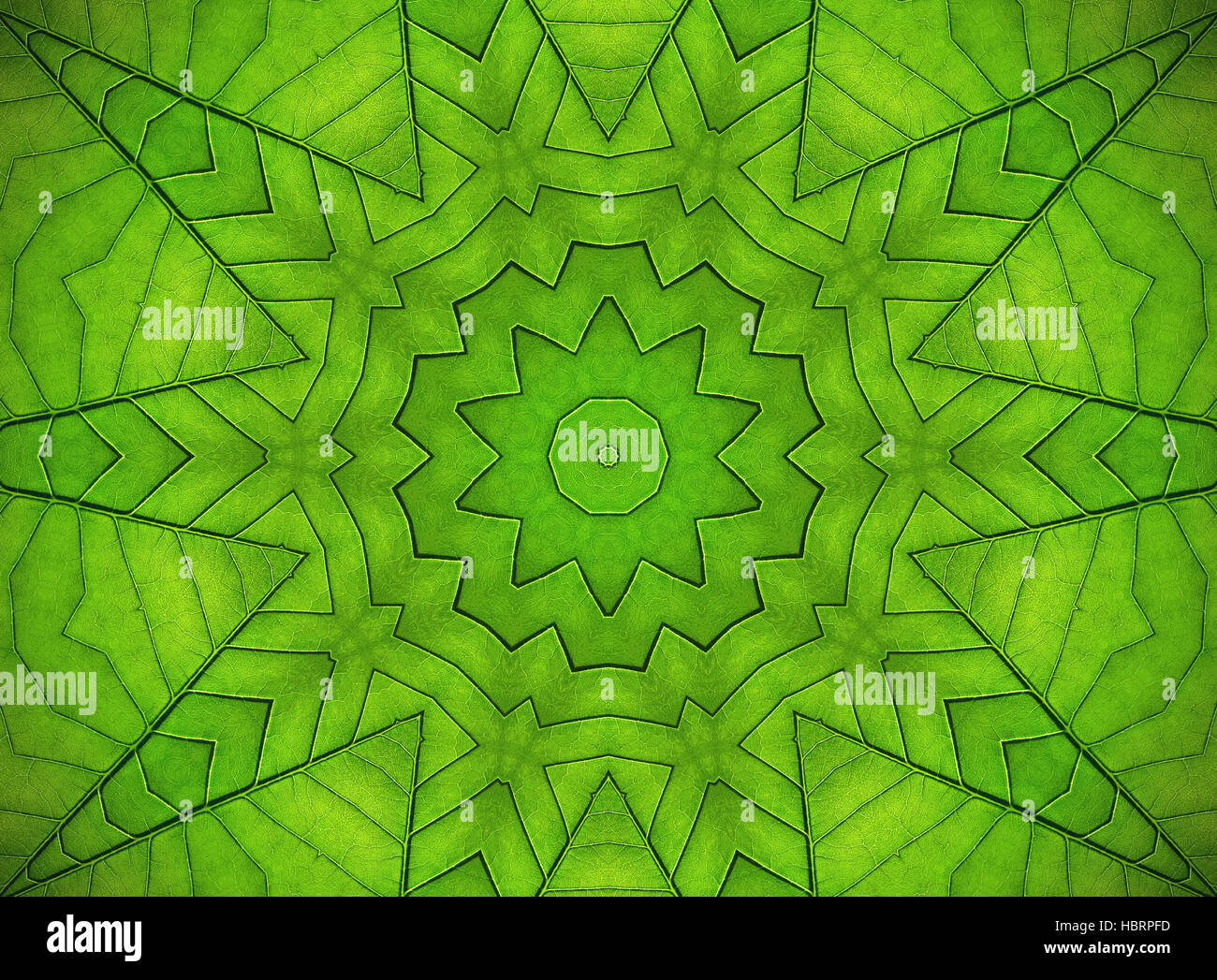 Texture of mirror image leaf hi-res stock photography and images - Alamy