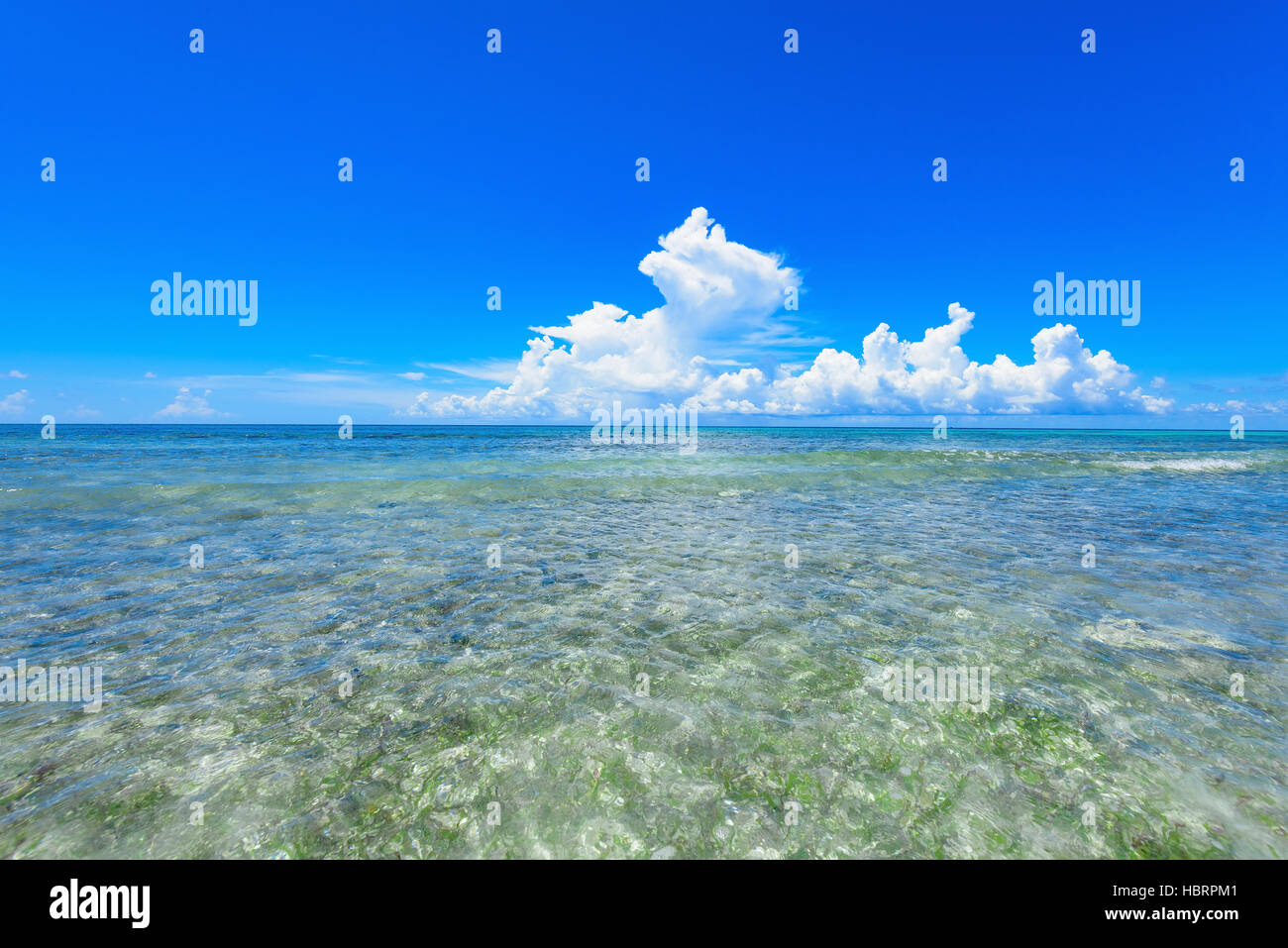 Surf blue sea hi-res stock photography and images - Alamy