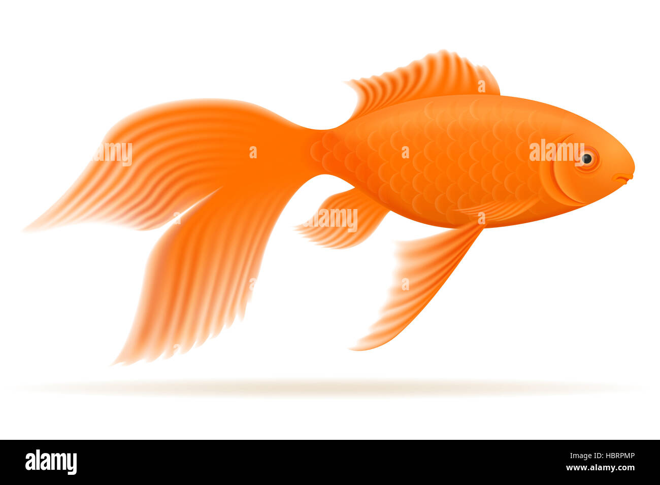 aquarium fish illustration isolated on white background Stock Photo - Alamy