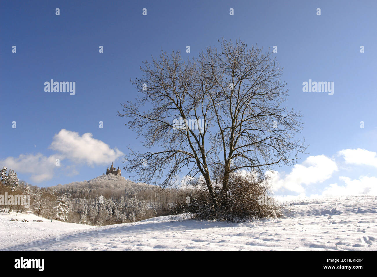 tree infront of the castle Stock Photo - Alamy