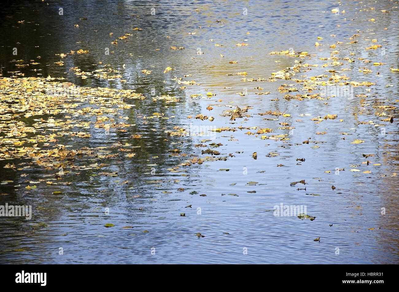 Water wallpapers hi-res stock photography and images - Alamy