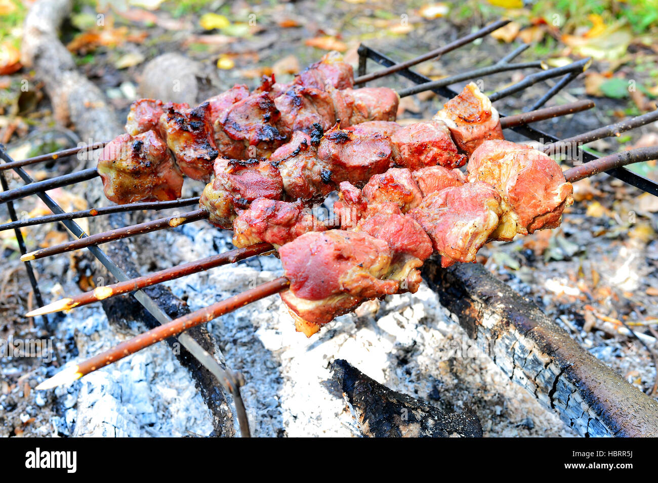 Barbecue cooking meat on a fire Stock Photo - Alamy