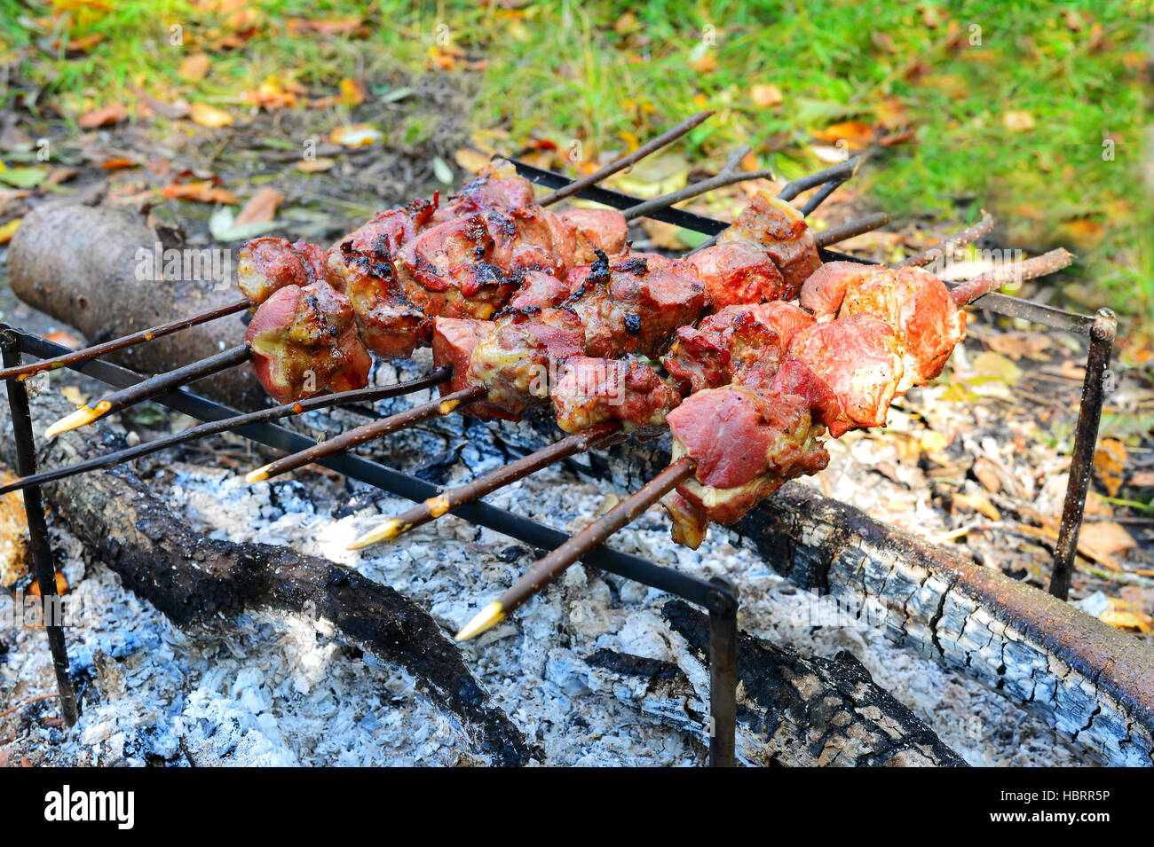 Cooking on fire at picnic hi-res stock photography and images - Alamy
