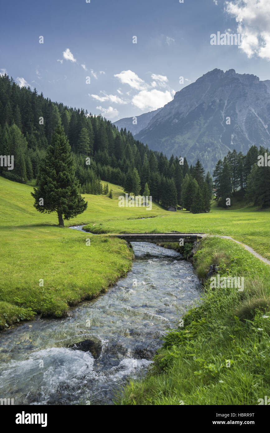Austrian landscape with alps on background Stock Photo - Alamy